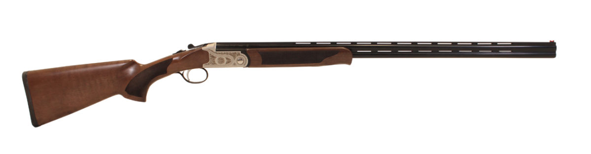 Acrius - Legacy Sports International – The Most Trusted Name in the ...